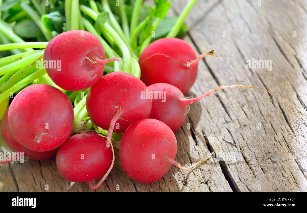 Fresh radish bunch harvest hi-res stock photography and images - Alamy