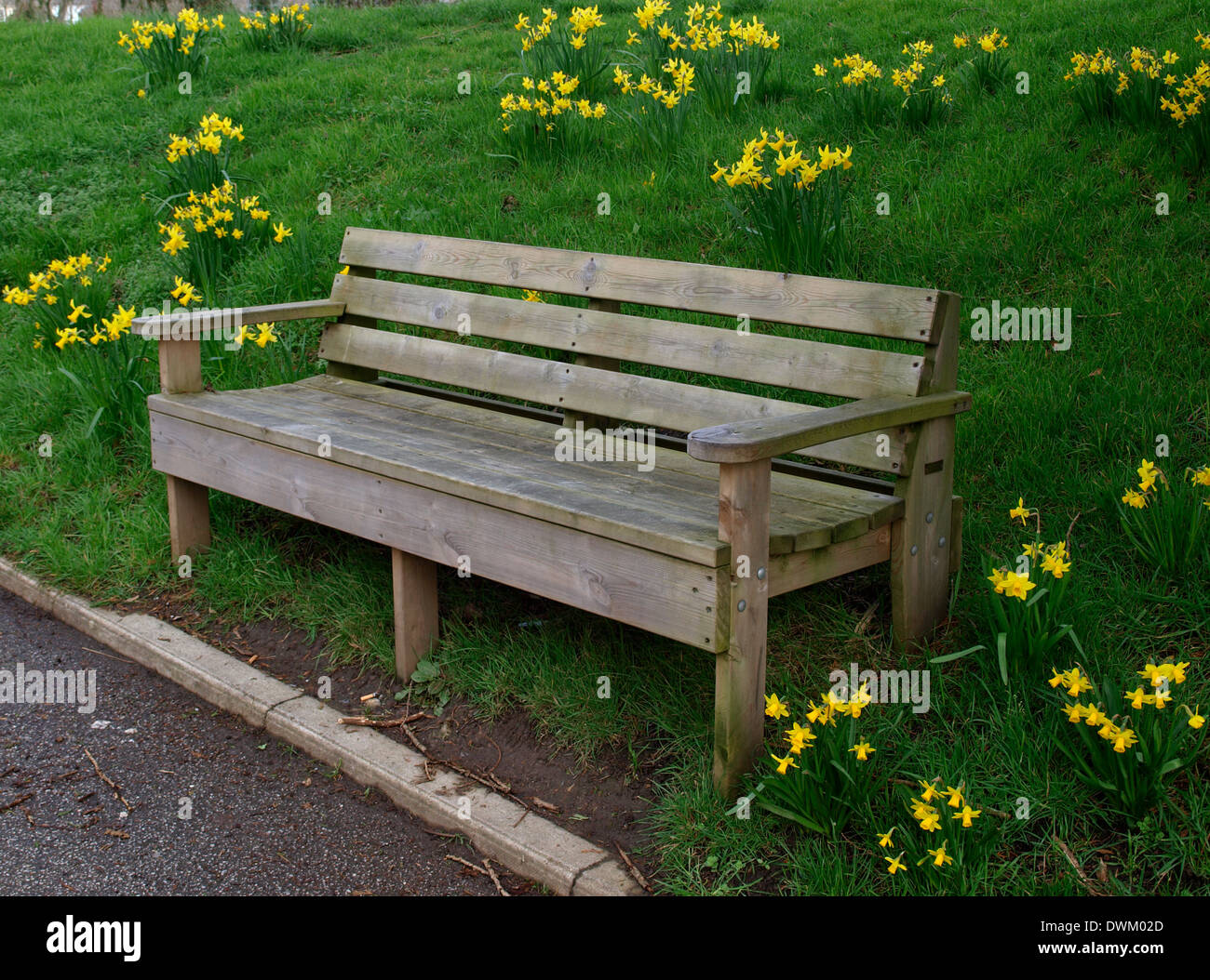 Wooden public bench with daffodils, Truro, Cornwall, UK Stock Photo - Alamy