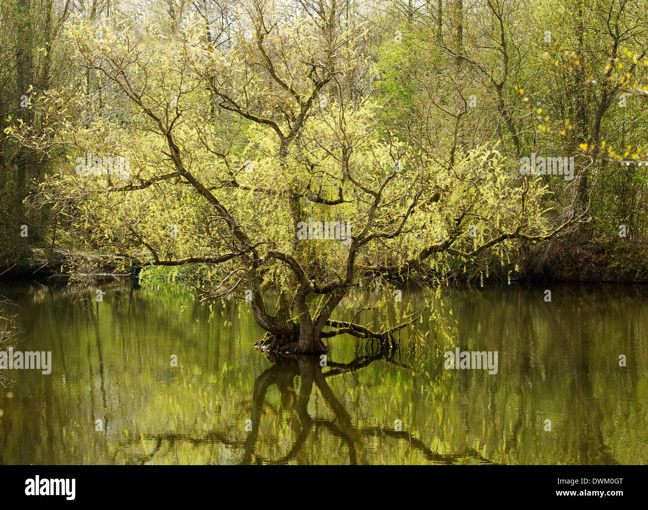 Flooded pit hi-res stock photography and images - Alamy