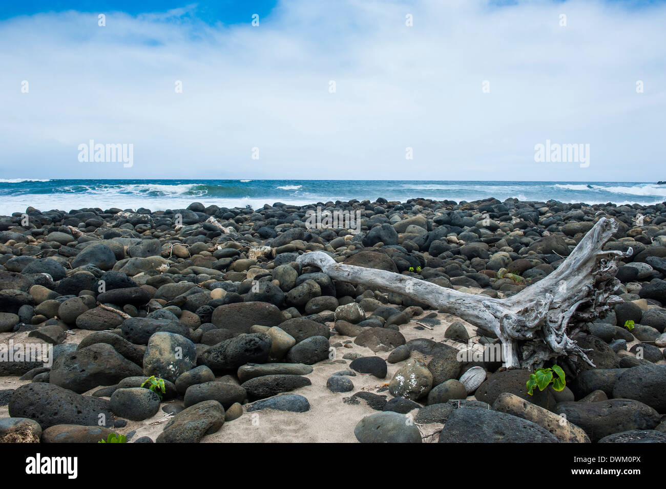 Huge pebbles on the Halawa beach in Halawa Bay on the island of Molokai ...
