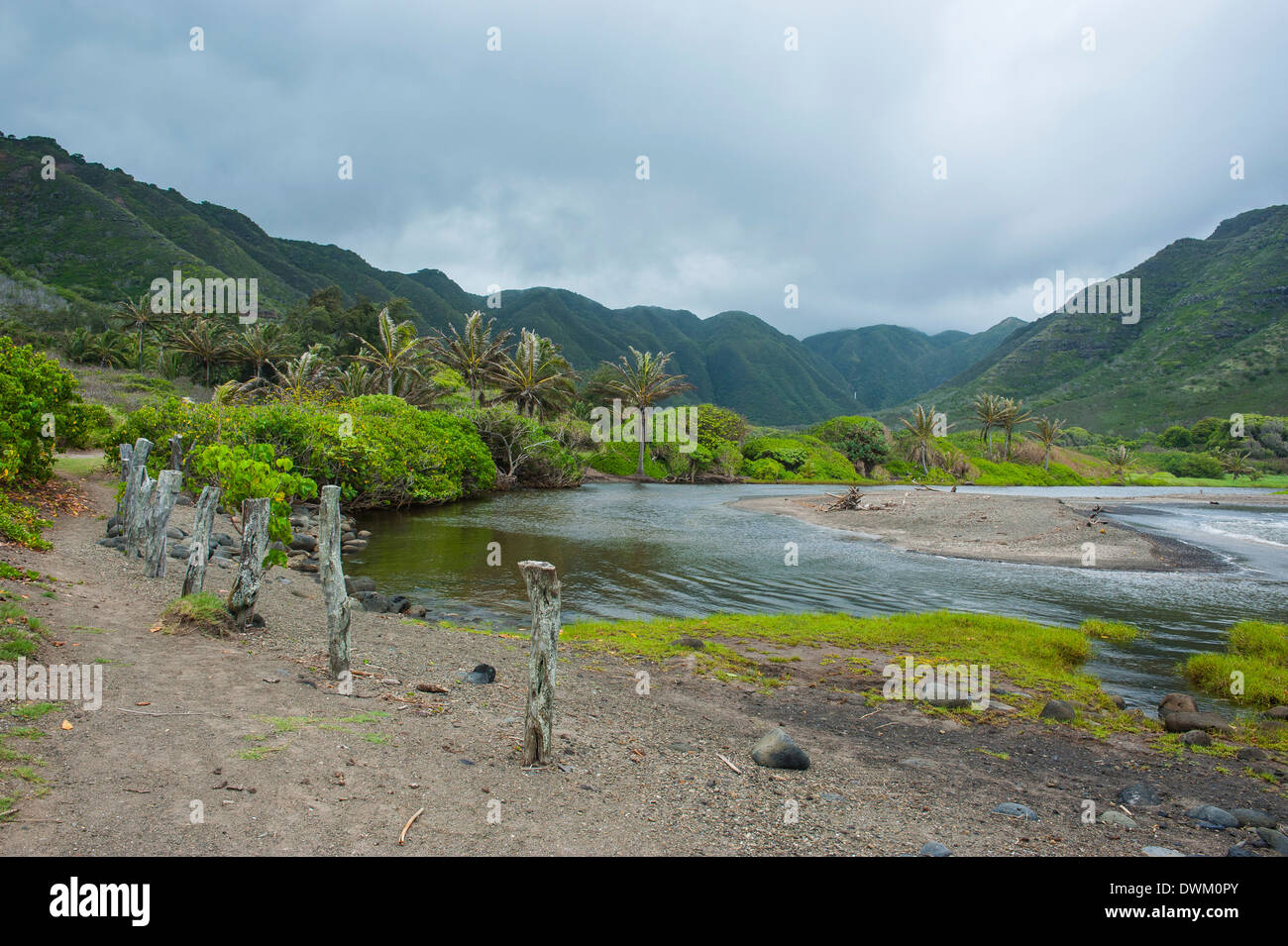 Halawa stream in the Halawa Bay on the island of Molokai, Hawaii ...
