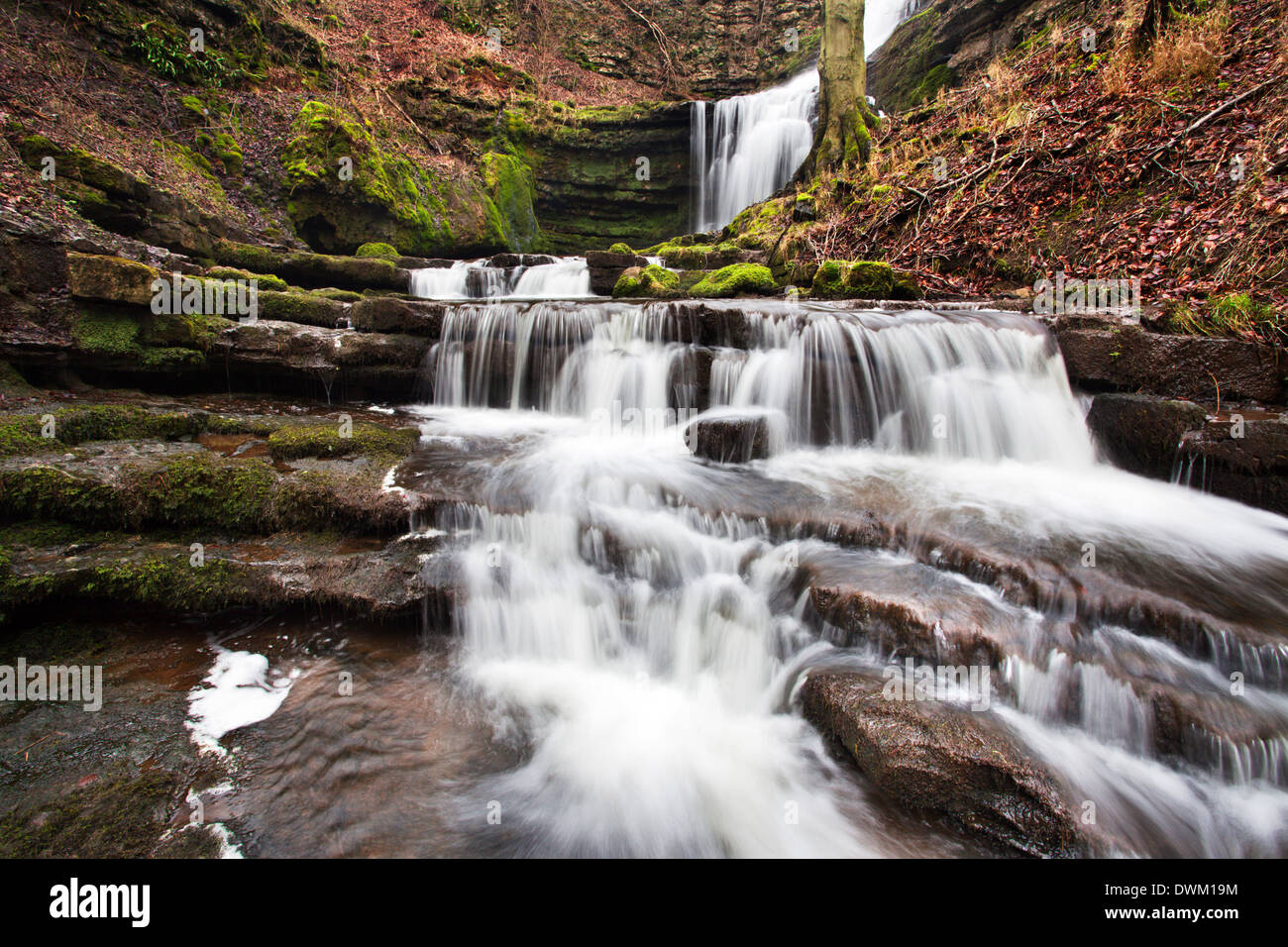 Scaleber Force (Foss Waterfall) near Settle, North Yorkshire, Yorkshire ...