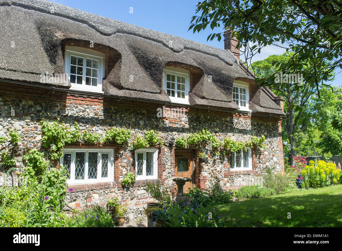 Thatched Country Cottage in Spring Stock Photo - Alamy