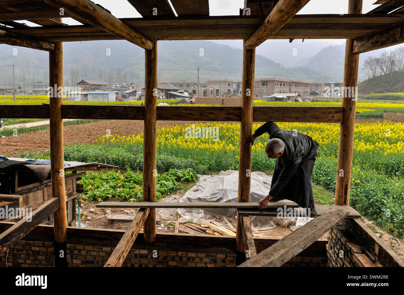 Lushan, March 11. 20th Apr, 2013. A villager rebuilds a house at ...