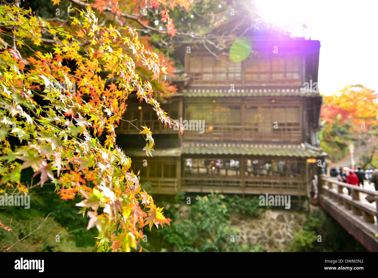 Vibrant Autumn Color in Japan Stock Photo - Alamy