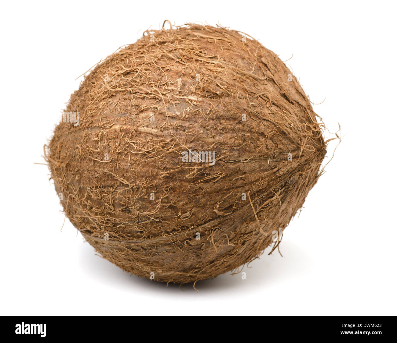 Single coconut isolated on white Stock Photo - Alamy