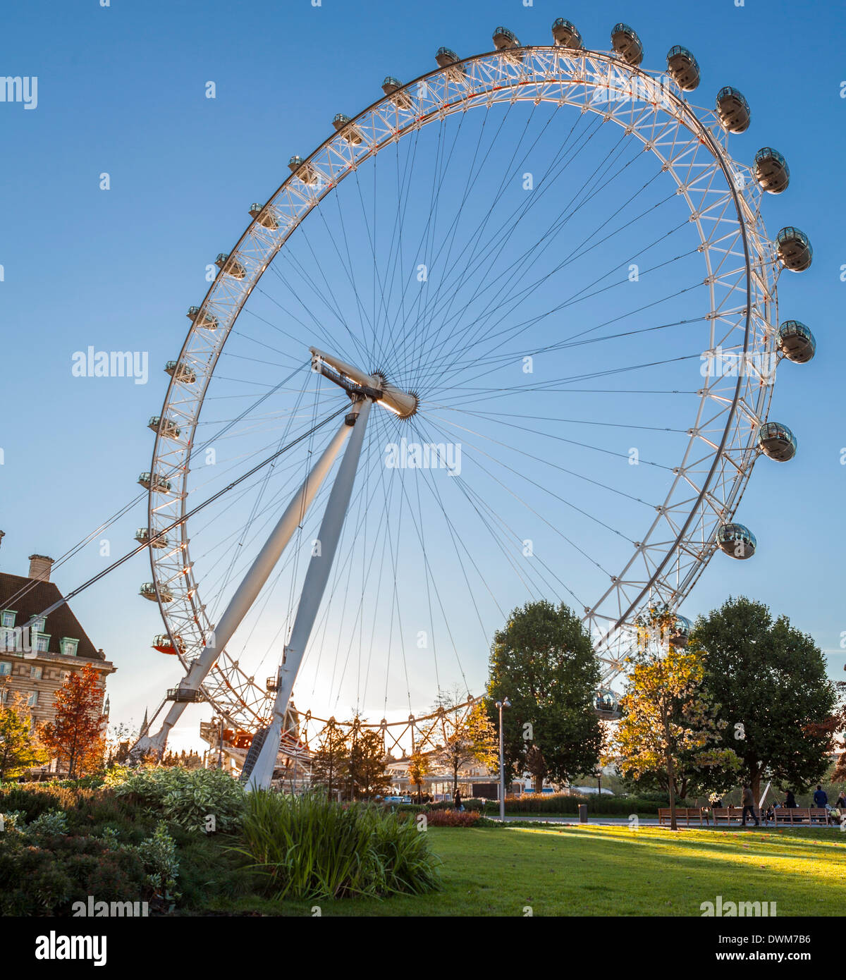The London Eye on a bright sunny day, London, England, United Kingdom ...