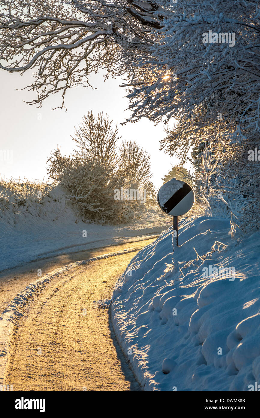 Country lane of norfolk hi-res stock photography and images - Alamy