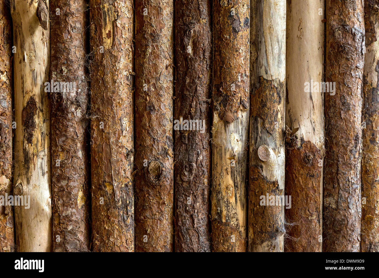 Log cabin wall texture hi-res stock photography and images - Alamy