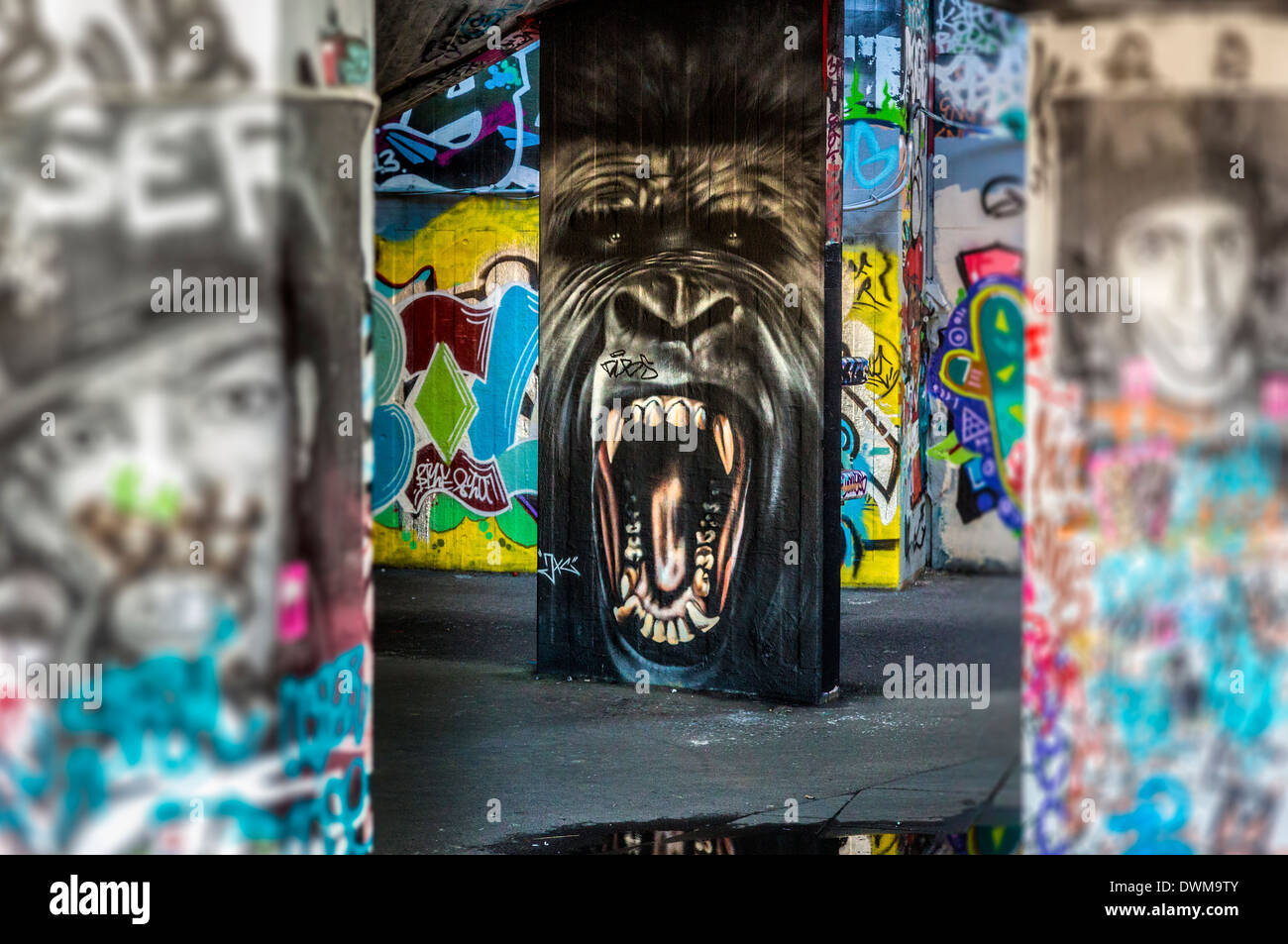 Gorilla graffiti at the Southbank skateboard park, London, UK Stock ...