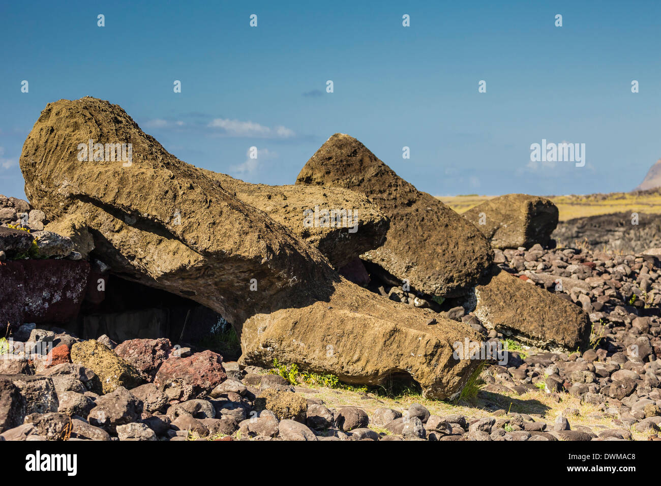 Fallen moai at Ahu Akahanga on Easter Island (Isla de Pascua) (Rapa Nui ...