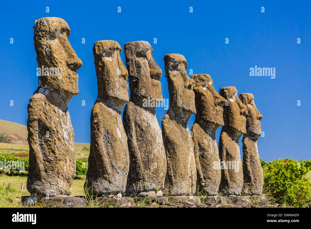 Seven Moai at Ahu Akivi, the first restored altar on Easter Island ...