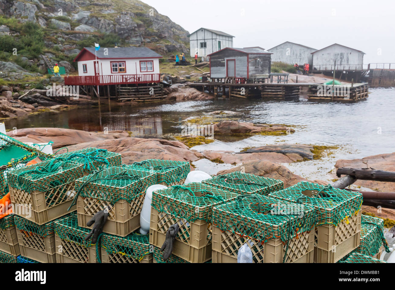 Newfoundland And Labrador People