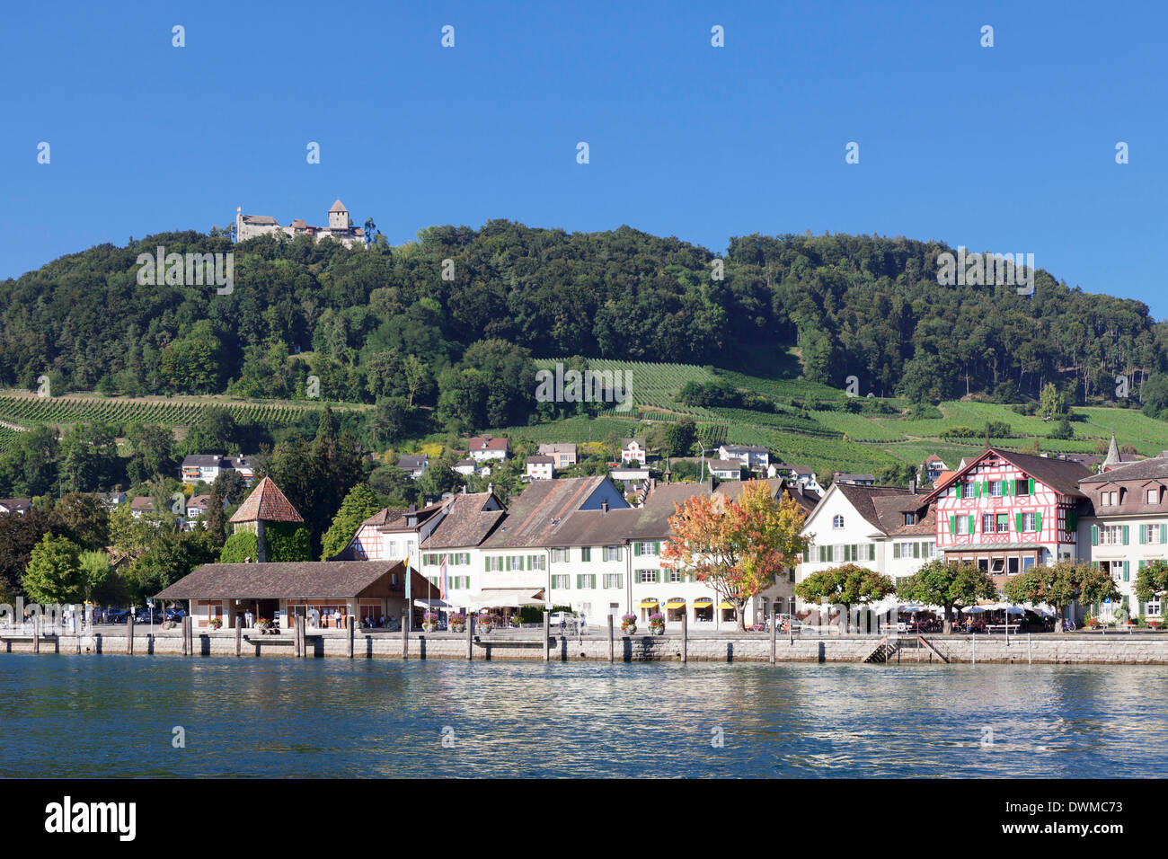Old town along the Rhine promenade with Burg Hohenklingen castle, Stein ...