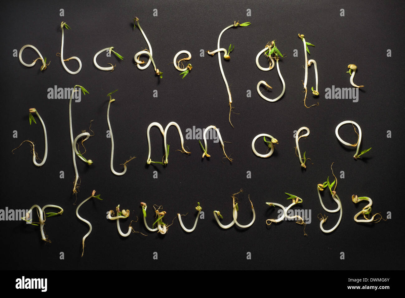 Lowercase letters hi-res stock photography and images - Alamy