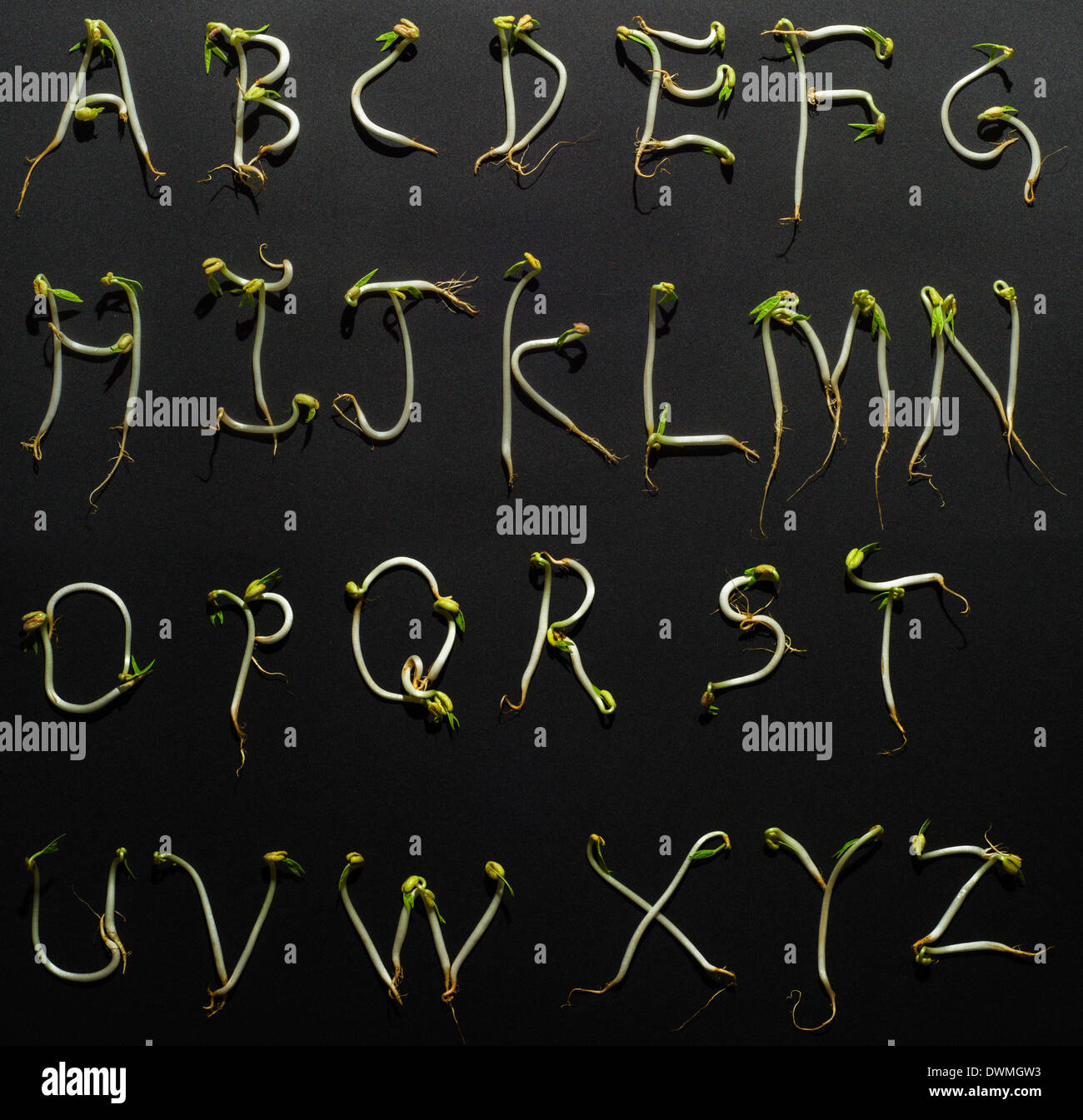 uppercase letters made of bean sprouts on the blackboard Stock Photo ...