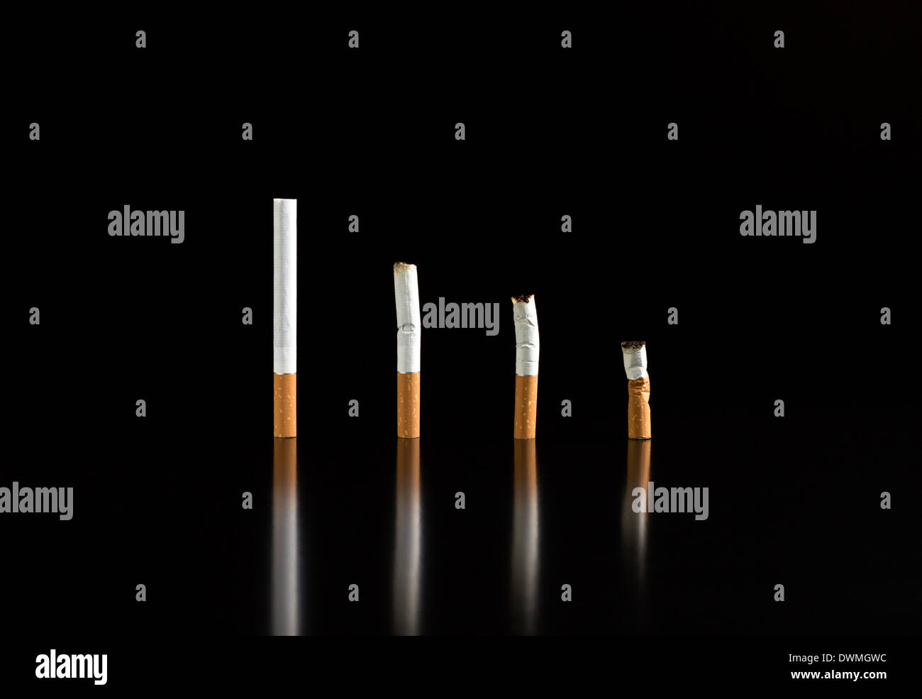 four cigarettes which represent evolution theory Stock Photo - Alamy