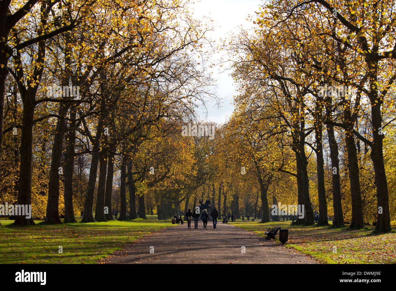 Colourful autumn foliage in Hyde Park, London, England, United Kingdom ...