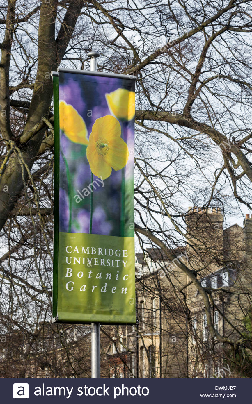 Cambridge Botanic Gardens High Resolution Stock Photography and Images ...