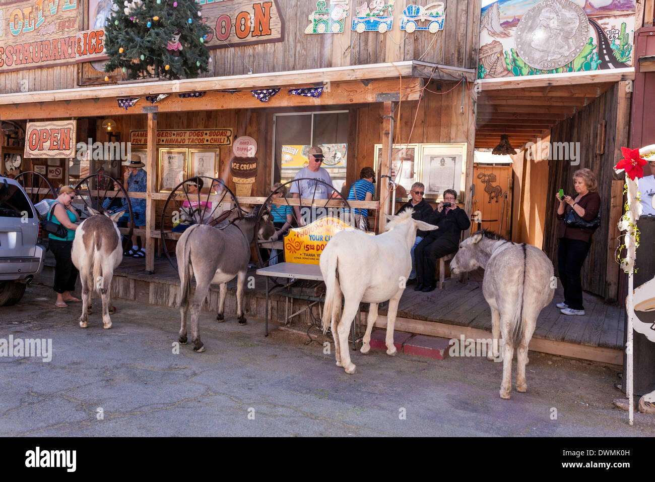Oatman Donkeys High Resolution Stock Photography and Images - Alamy