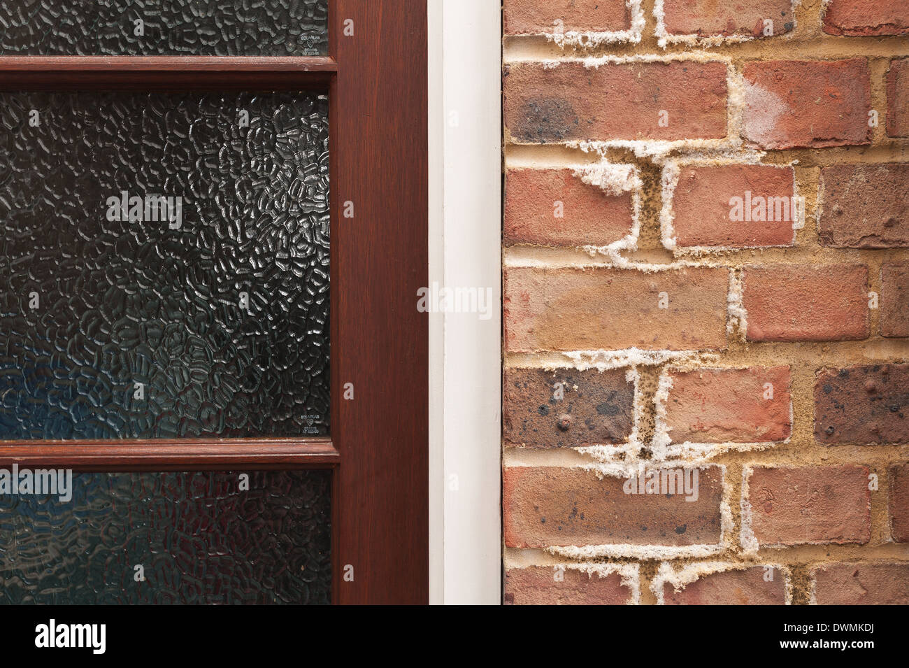 Efflorescence a powdery white salty deposit of salts that forms on the ...