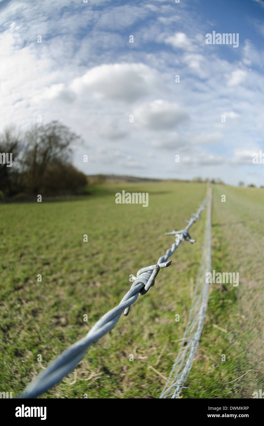 single detail on a barbed wire hook on a new galvanised wired fence to ...