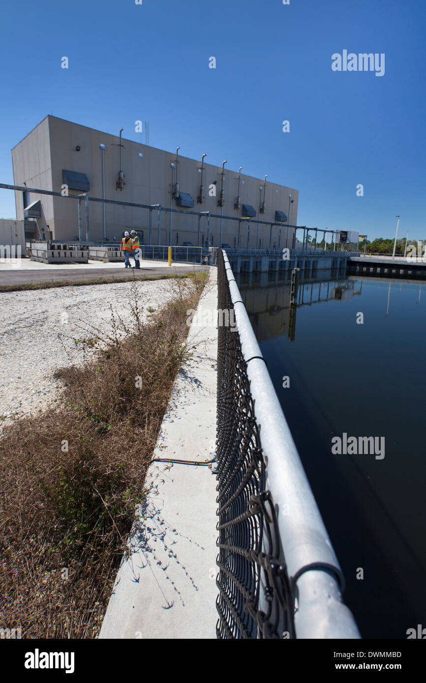 Everglades wetland ecosystem hi-res stock photography and images - Alamy