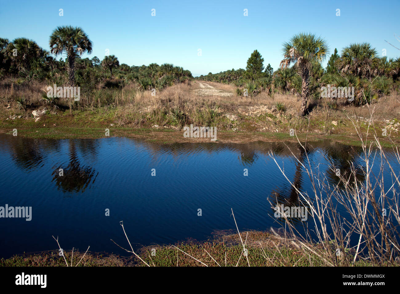 Everglades drainage canal hi-res stock photography and images - Alamy