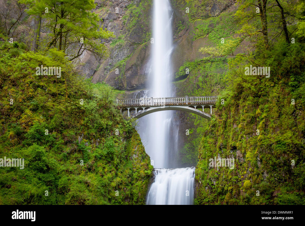Multnomah falls hi-res stock photography and images - Alamy