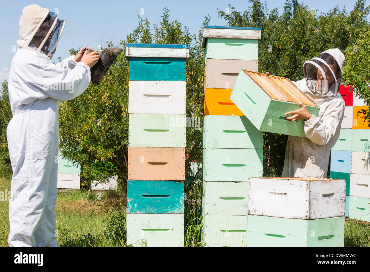 Professional beekeepers hi-res stock photography and images - Alamy