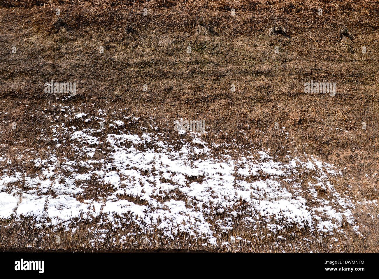 Texture of roof cottage Stock Photo - Alamy