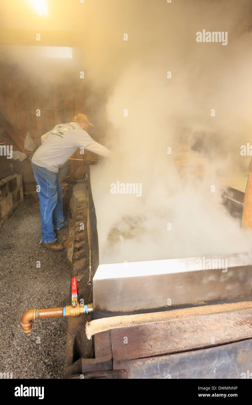 Skim Impurities, Cooking Maple Sugar, Eagle Sugar Camp, Doe Hill ...