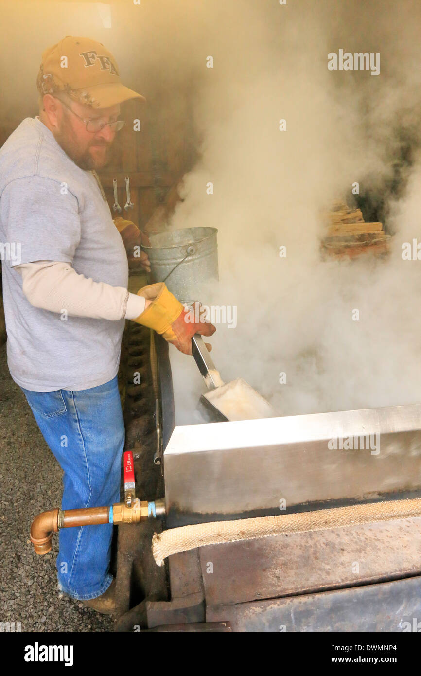 Skim Impurities, Cooking Maple Sugar, Eagle Sugar Camp, Doe Hill ...