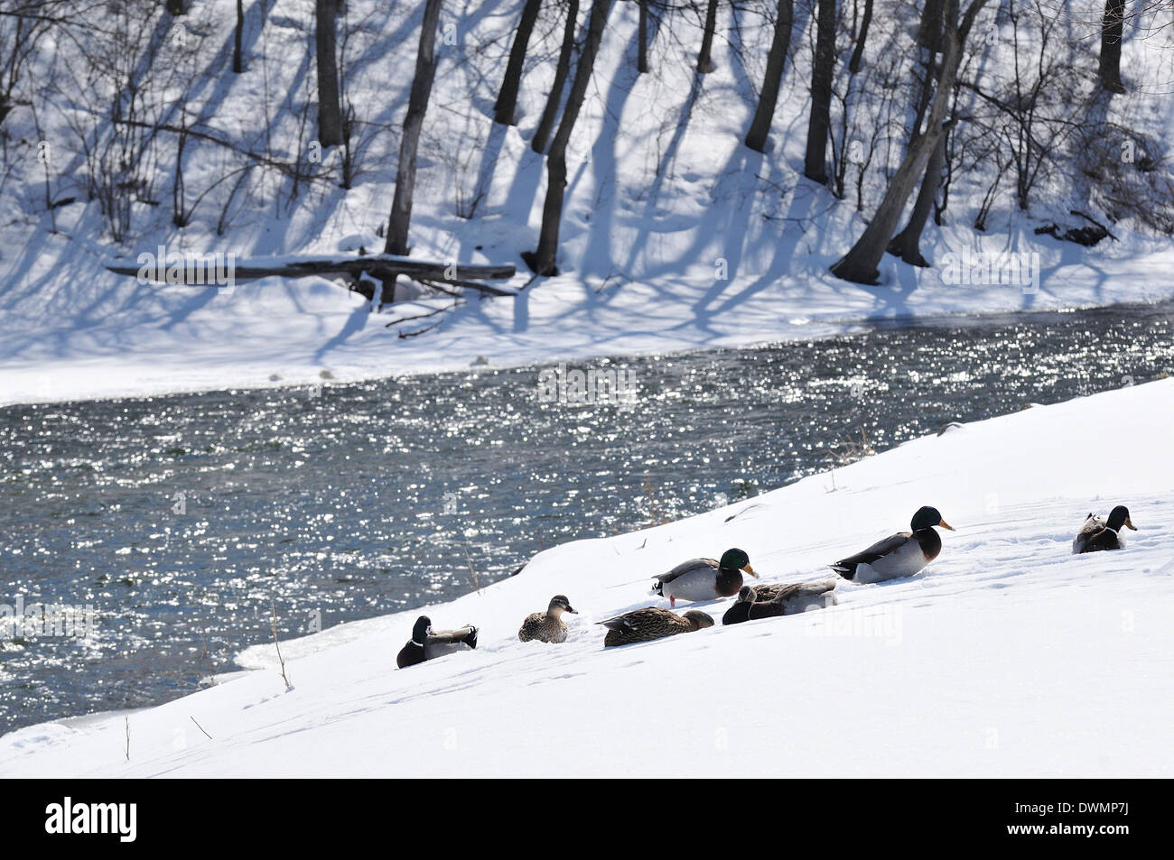 Stream lining hi-res stock photography and images - Alamy
