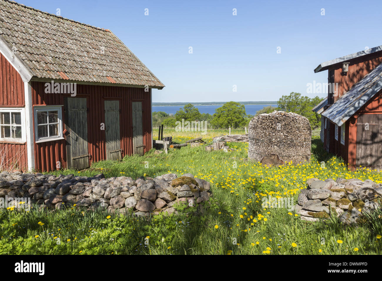 Overgrown garden blooming hi-res stock photography and images - Alamy
