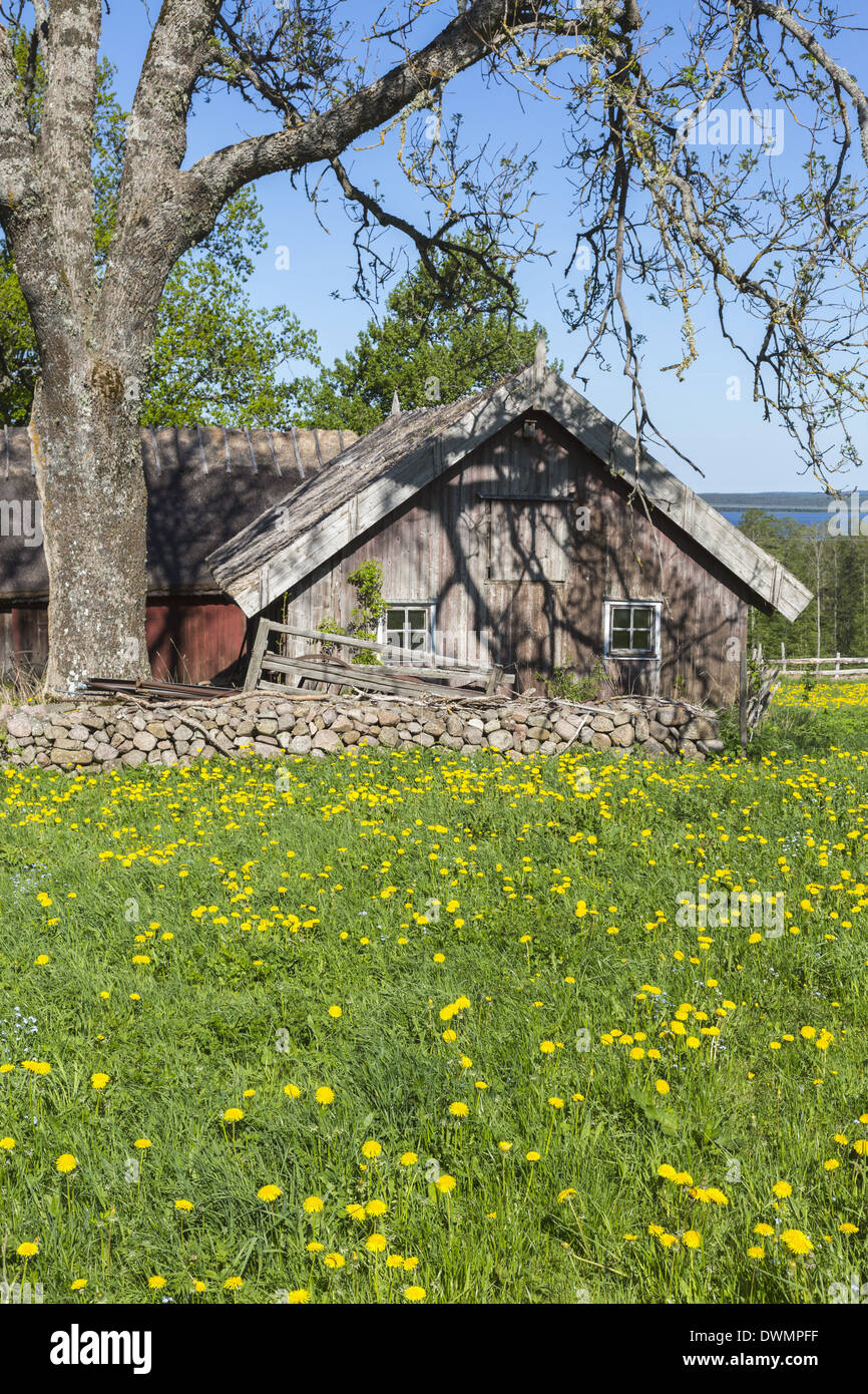 Grass barn flower hi-res stock photography and images - Alamy