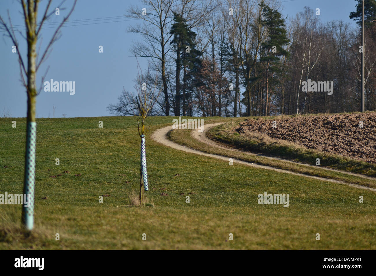 The beaten path hi-res stock photography and images - Alamy