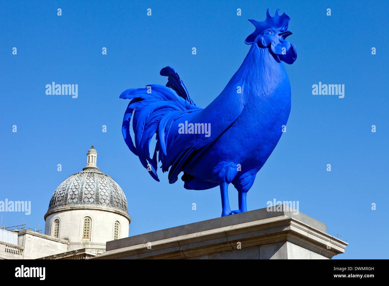 The Blue Cockerel on the fourth plinth in Trafalgar Square in London ...