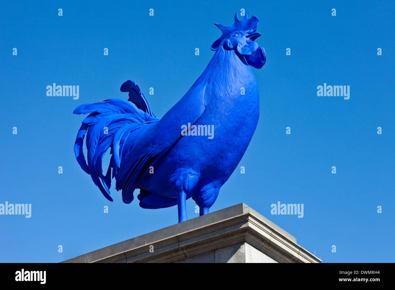 The Blue Cockerel in Trafalgar Square in London Stock Photo - Alamy