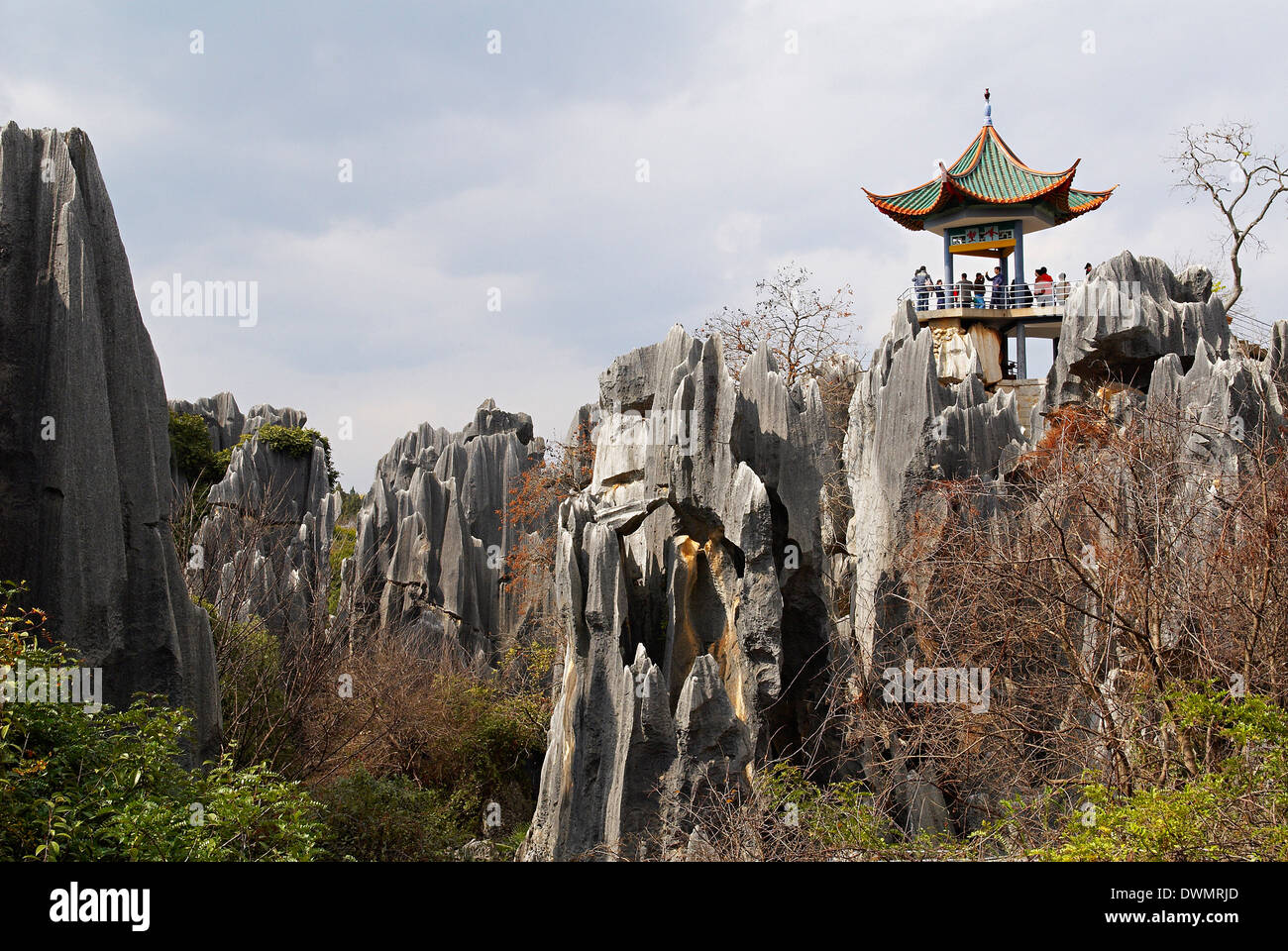 Limestone pinnacles in Shilin, Stone Forest, at Lunan, Yunnan, China ...