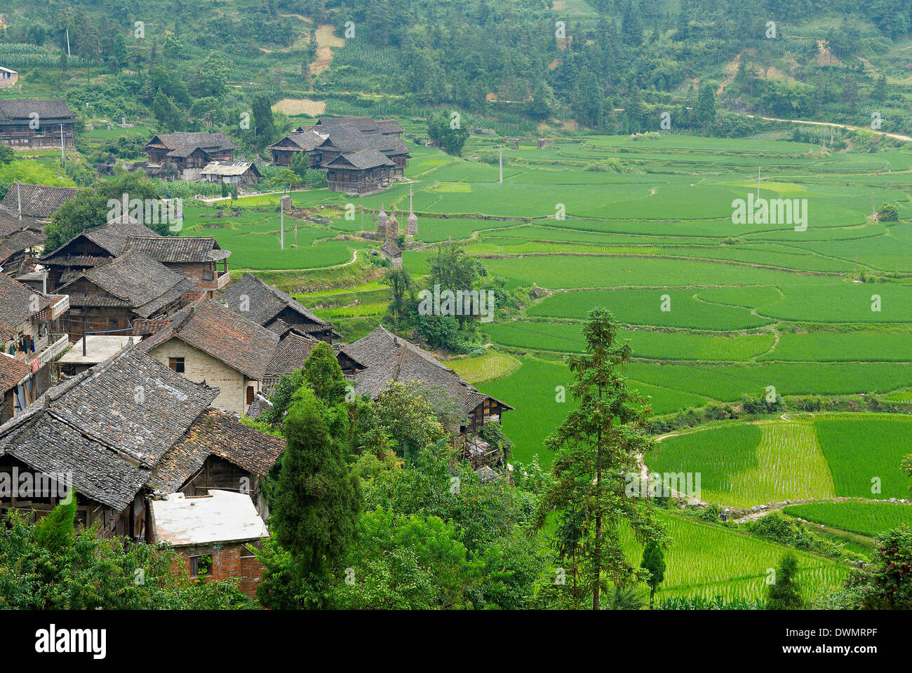 Libo High Resolution Stock Photography and Images - Alamy