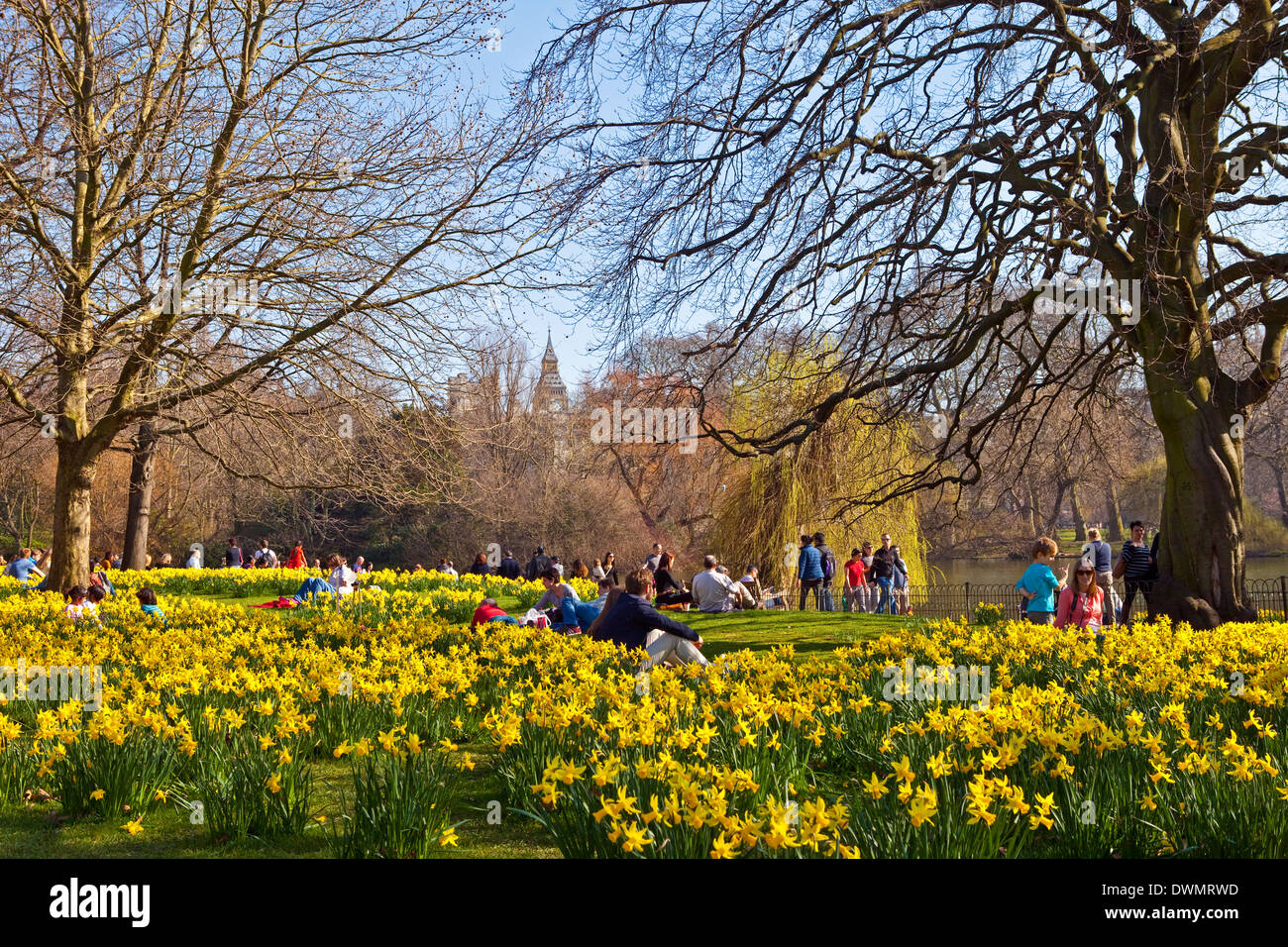 The beautiful St. James's Park in London at Springtime Stock Photo - Alamy