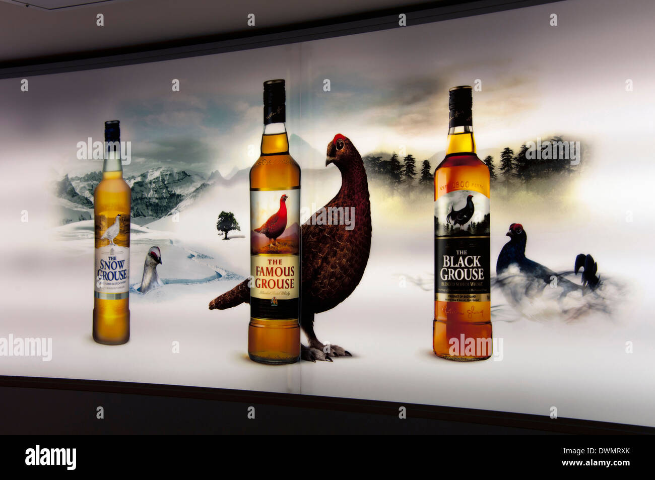 The famous grouse crieff hi-res stock photography and images - Alamy