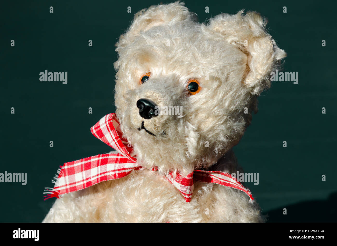 Teddy bear dreaming in the sun Stock Photo - Alamy