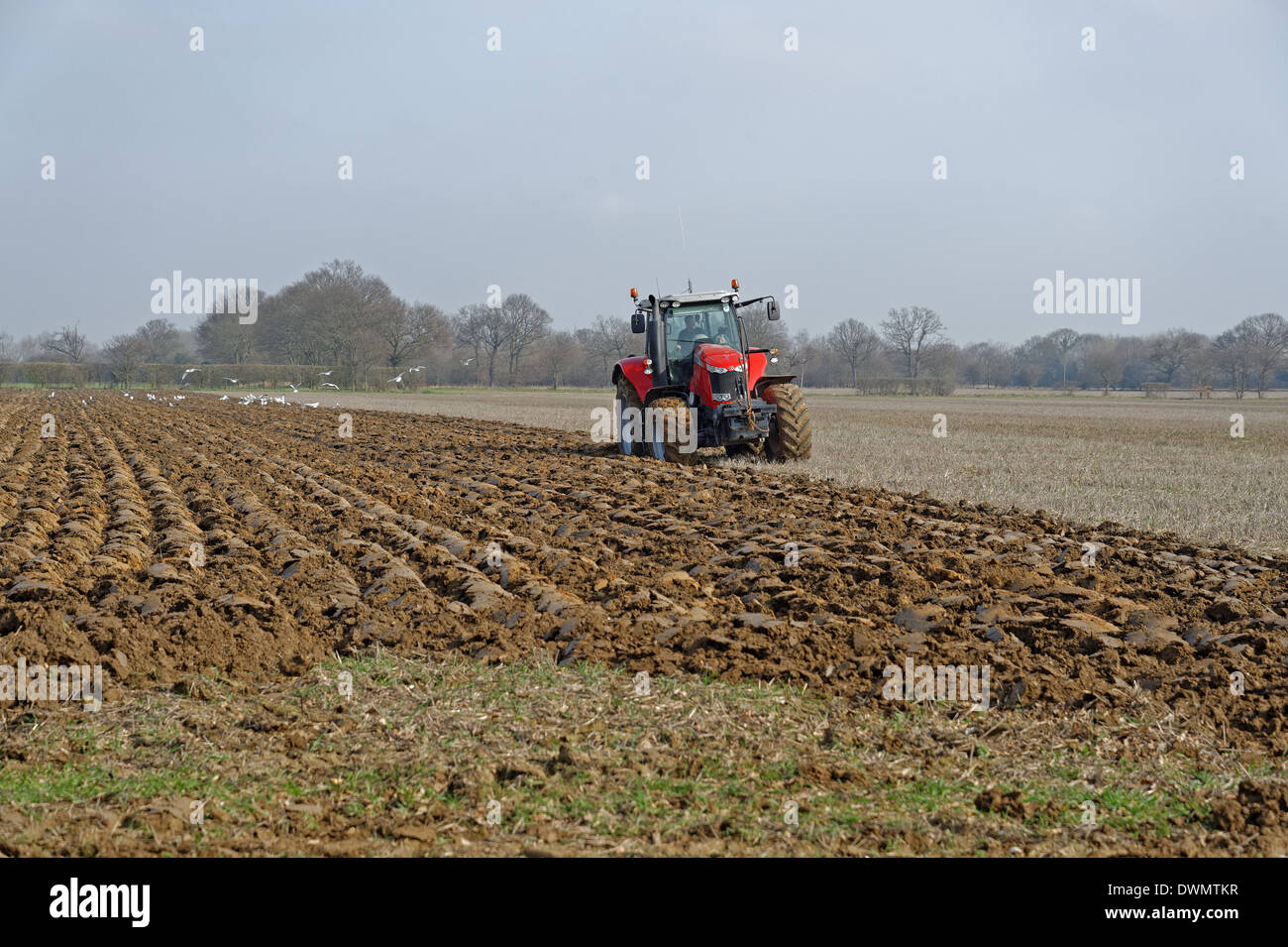 A modern tractor ploughing a field in the UK ready for sowing a crop in ...