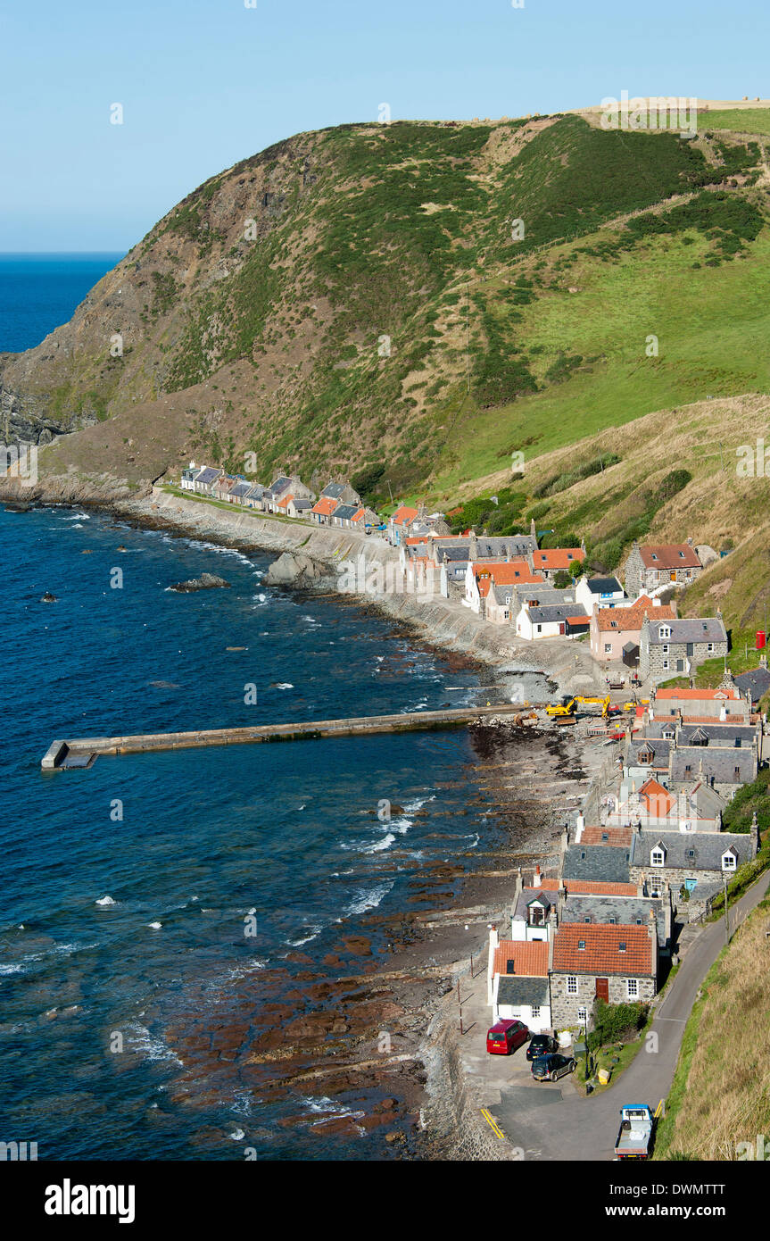 Crovie hi-res stock photography and images - Alamy