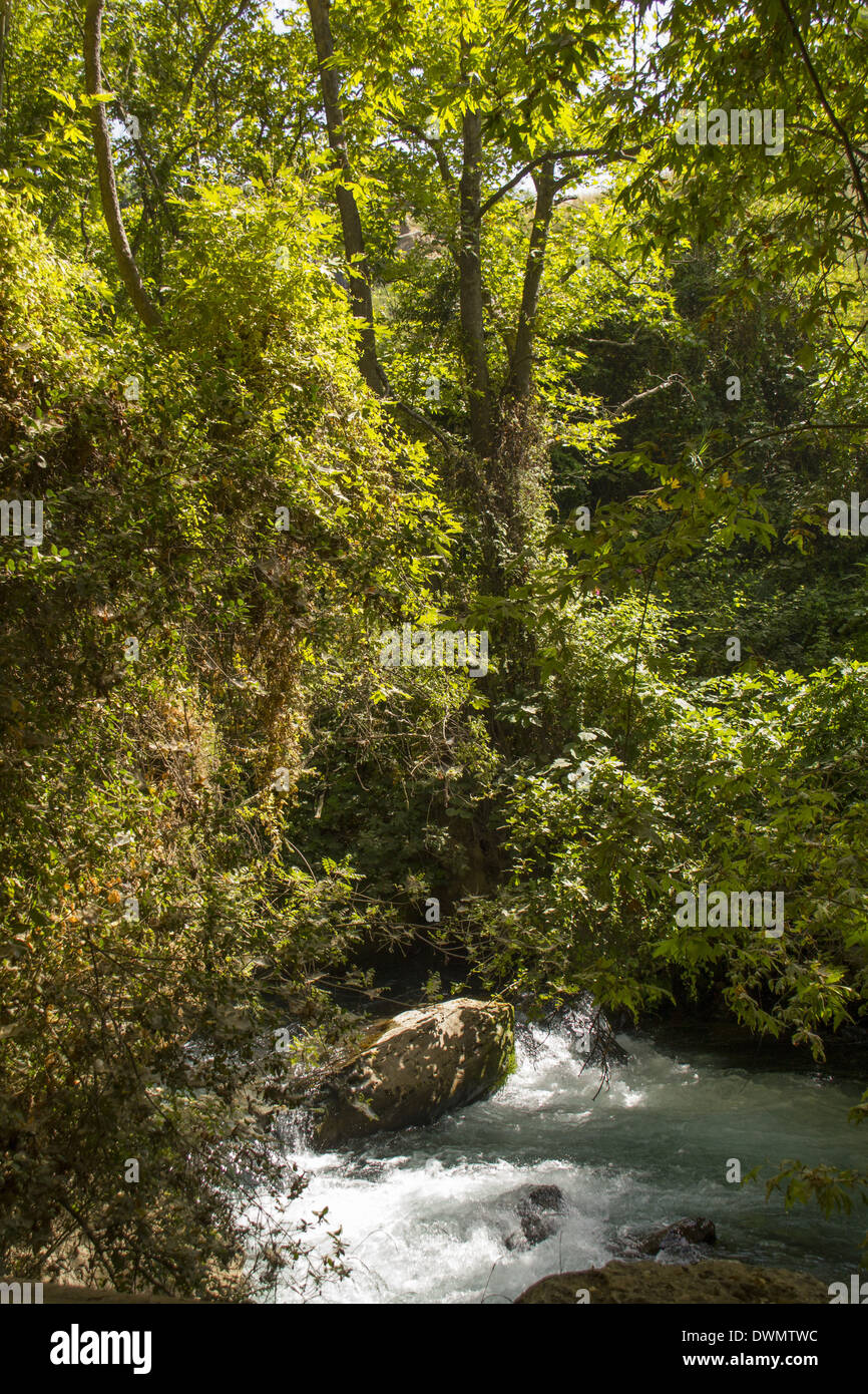 River Hermon ,Banias Nature Reserve in northern Israel Stock Photo - Alamy