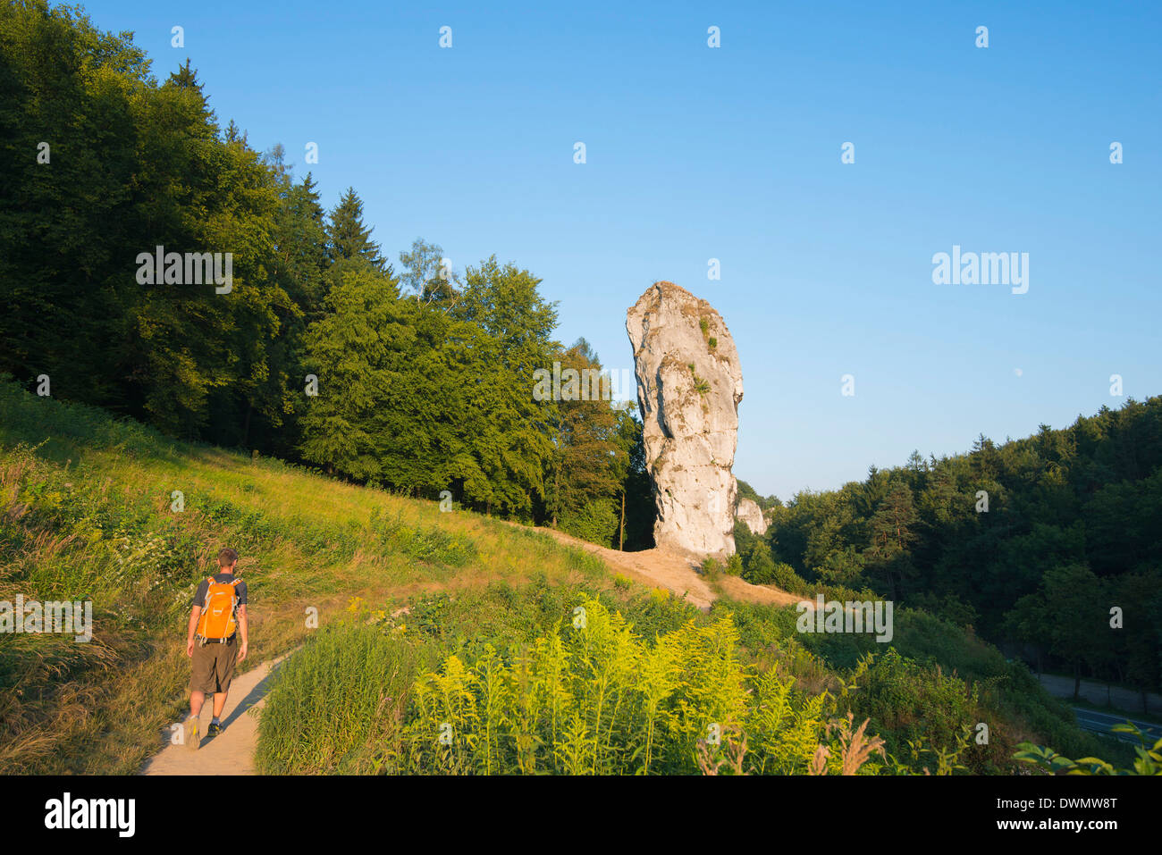 Hercules Club (Maczuga Herkulesa), a limestone pillar, Ojcow National ...