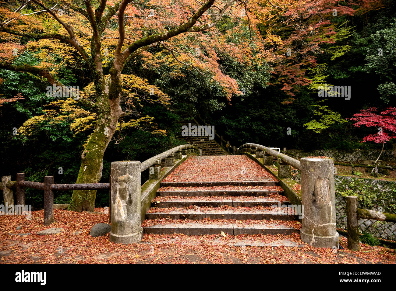 Japanese old traditional bridge at Mino Quasi-national Park. Osaka ...