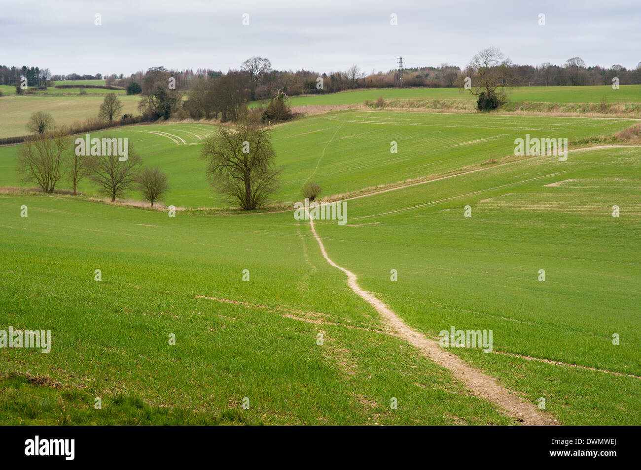 Uk field boundaries hi-res stock photography and images - Alamy